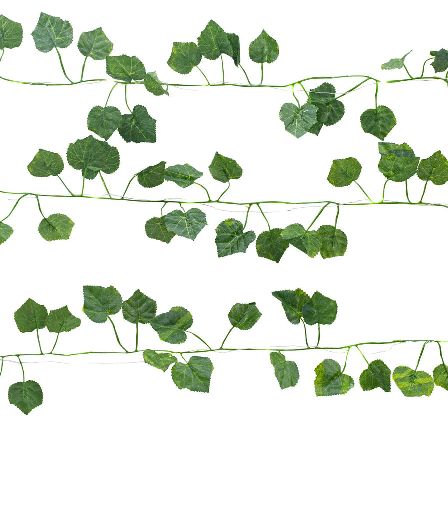 Ivy string of lights – DickieBird Homestore